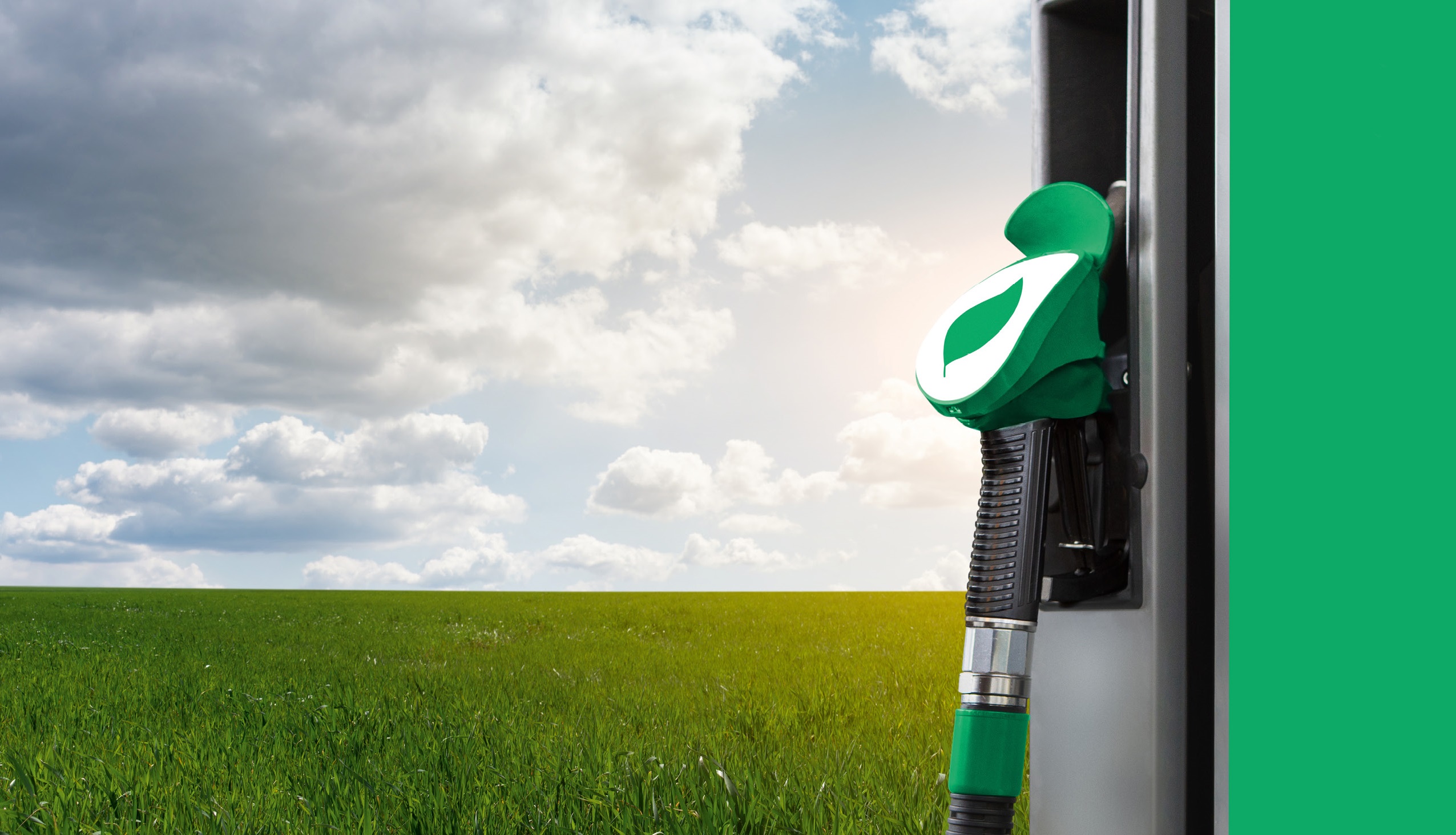 Renewable Diesel | 100% Renewable and Sustainable